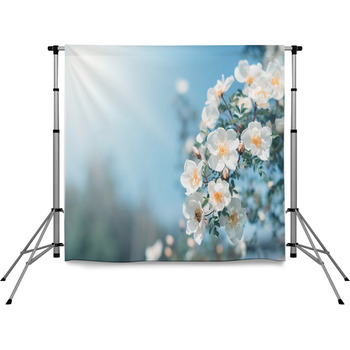 Spring Custom Backdrops | Available in nearly ANY Custom Sizes