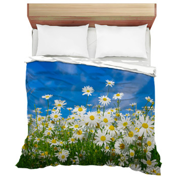 Daisy Comforters, Duvets, Sheets & Sets | Custom