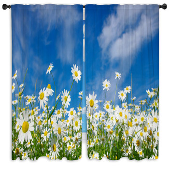 Daisy Drapes & Window Treatments | Black Out | Custom Sizes