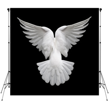 Dove Photo Backdrops | Available in Super Large Custom Sizes