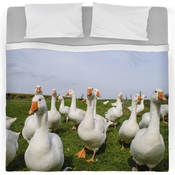 duck Comforters, Duvet Covers, Sheets & Bed Sets | Custom