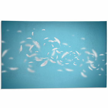 Feather Rugs & Custom Size Floor Mats