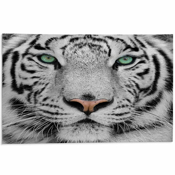 Tiger Rugs & Custom Size Floor Mats