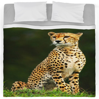 Cheetah Comforters, Duvets, Sheets & Sets | Personalized