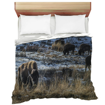 Buffalo Comforters, Duvets, Sheets & Sets | Personalized