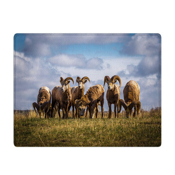 Sheep Shower Curtains, Bath Mats, & Towels Personalize