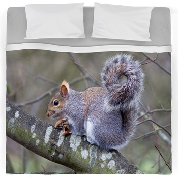 Squirrel Comforters, Duvets, Sheets & Sets | Personalized