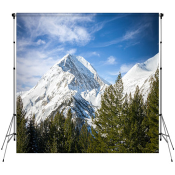 Winter Photo Backdrops | Available in Ultra Large Custom Sizes