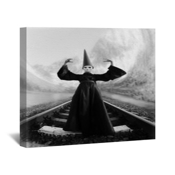 Wizard Wall Decor in Canvas, Murals, Tapestries, Posters & More