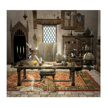 Wizard Wall Decor in Canvas, Murals, Tapestries, Posters & More