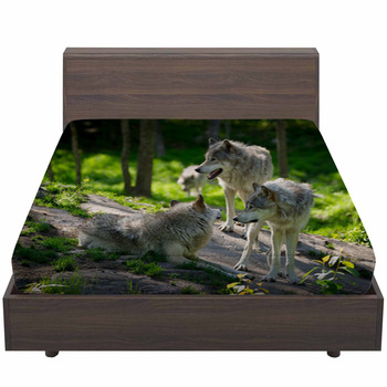 Wolf Comforters, Duvets, Sheets & Sets | Personalized