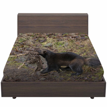 Skunk Comforters, Duvets, Sheets & Sets | Personalized