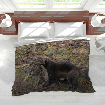 Skunk Comforters, Duvets, Sheets & Sets | Personalized