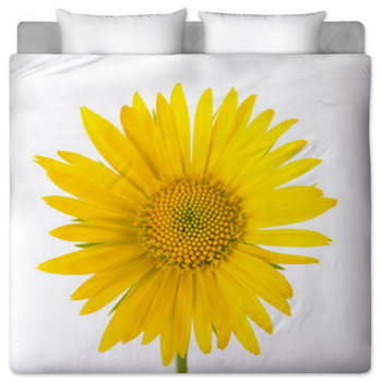Daisy Comforters, Duvets, Sheets & Sets | Custom