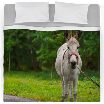 Donkey Bedding | Comforters, Duvet Covers, Sheets & Bed Sets | Custom