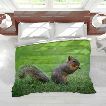 Squirrel Comforters, Duvets, Sheets & Sets | Personalized