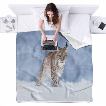 Bobcat Comforters, Duvets, Sheets & Sets | Personalized