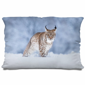 Bobcat Comforters, Duvets, Sheets & Sets | Personalized
