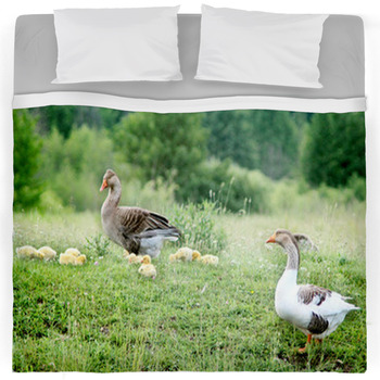 Goose Comforters, Duvets, Sheets & Sets | Custom