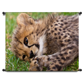 Leopard Wall Decor in Canvas, Murals, Tapestries, Posters & More