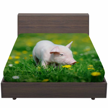 Farm animal Comforters, Duvets, Sheets & Sets | Custom