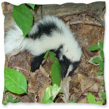 Skunk Comforters, Duvets, Sheets & Sets | Personalized