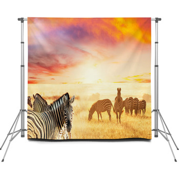 Safari Photo Backdrops | Available in nearly ANY Custom Sizes
