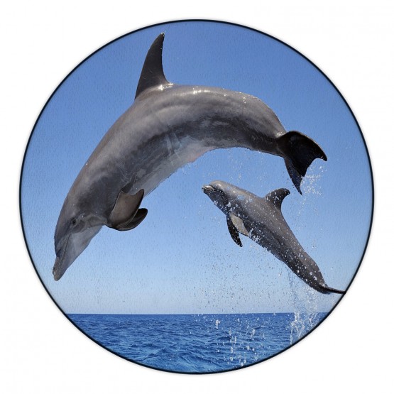 Custom Photo Printed Rugs | Design Your Own Rug! | Custom Sizes